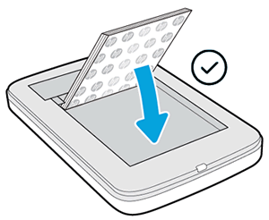 Plus-Printer-Out-of-Paper – Sprocket Printers